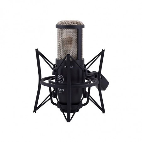 Akg P220 Perception